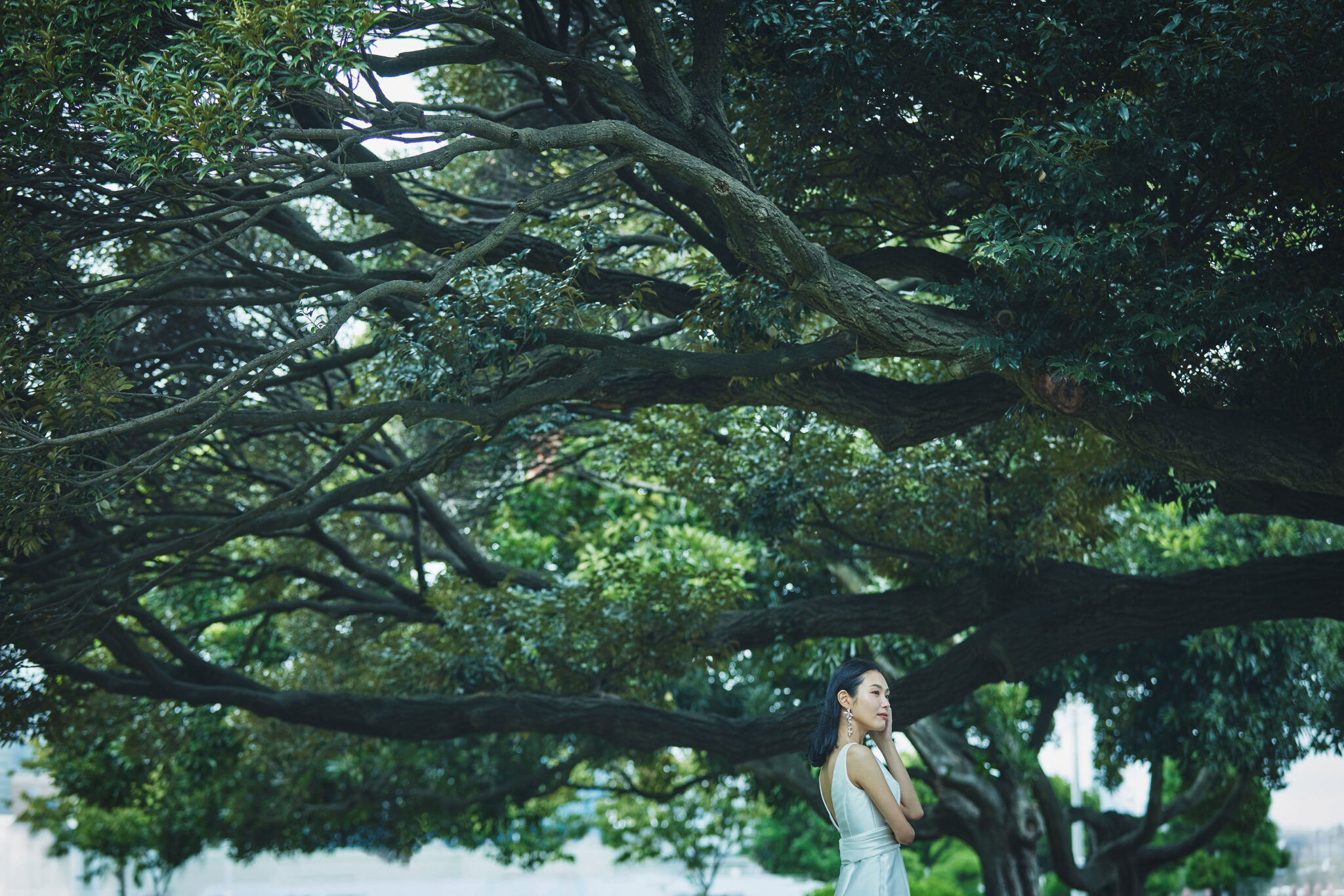 TIAD, オートグラフ コレクションへようこそ